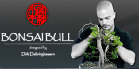Bonsai Museum Düsseldorf bonsaibull00 - Bonsai Museum Düsseldorf